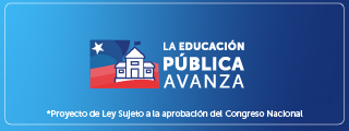 Cecilia Brito asume como nueva directora ejecutiva suplente del Servicio Local de Educación ...